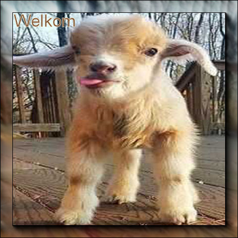 *Clubsetjes anders dan anders*